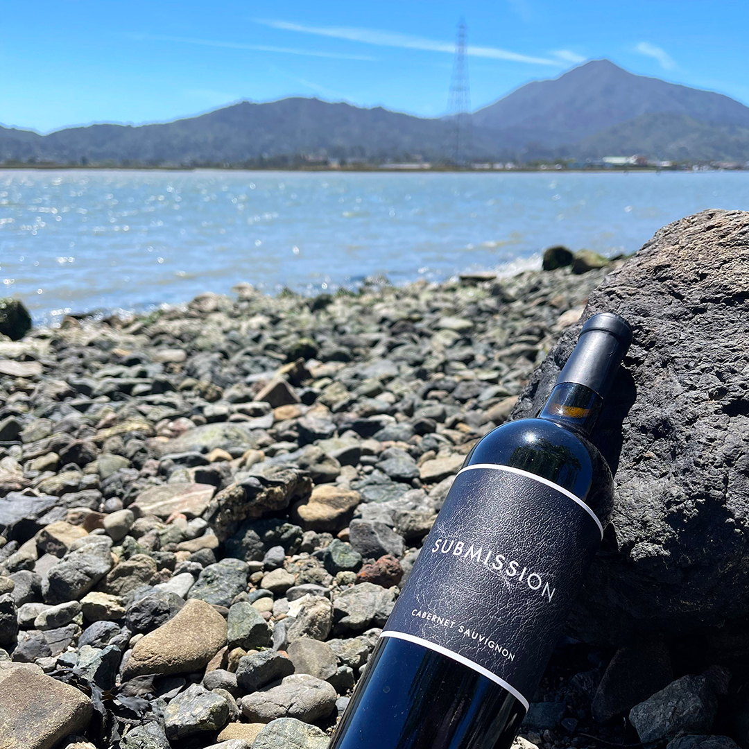 Submission by 689 Cellars Cabernet Sauvignon California 2021 : Iconic ...